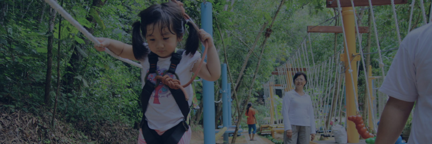 Monkey School | ESCAPE Penang